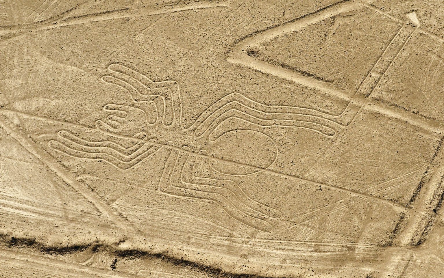 The Nazca Lines Myths & Mysteries - The Ancient Connection